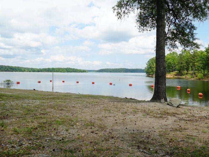 Denby Point Camping | Mt. ida, AR