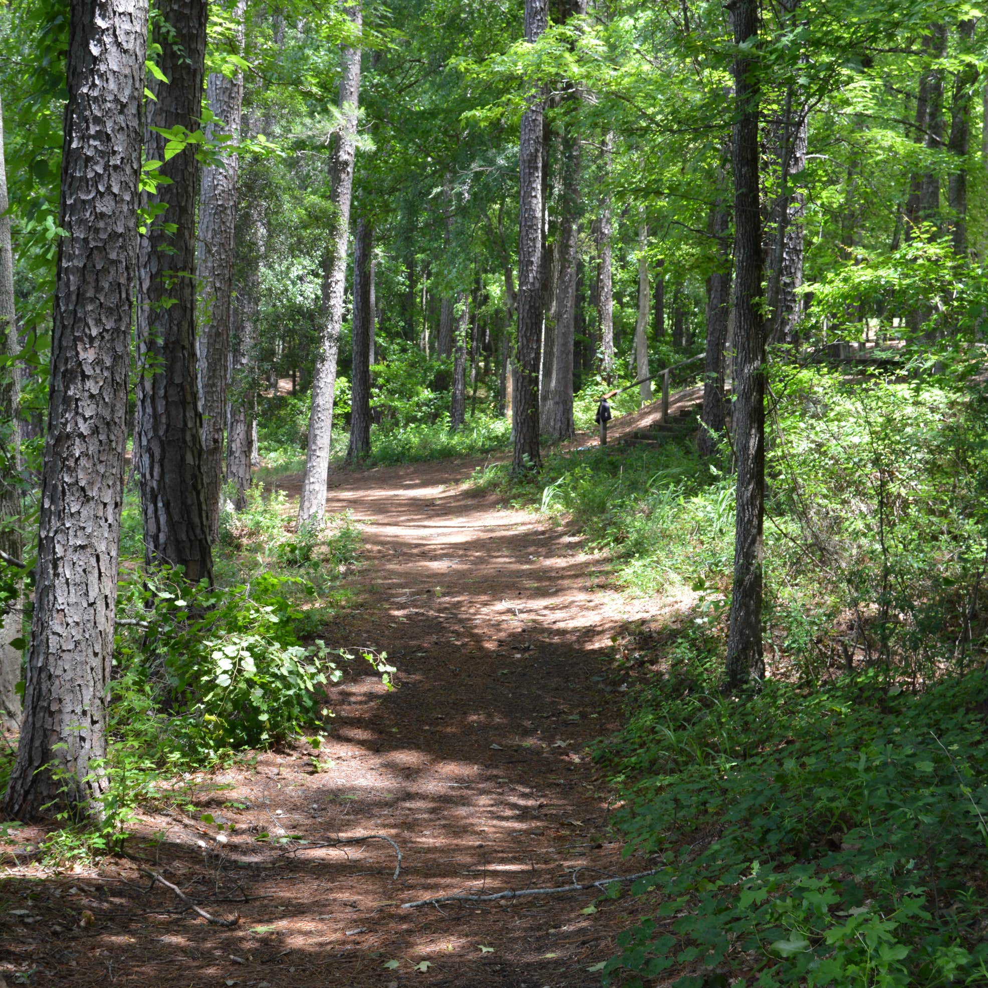 Whitetail Ridge Campground Camping | The Dyrt