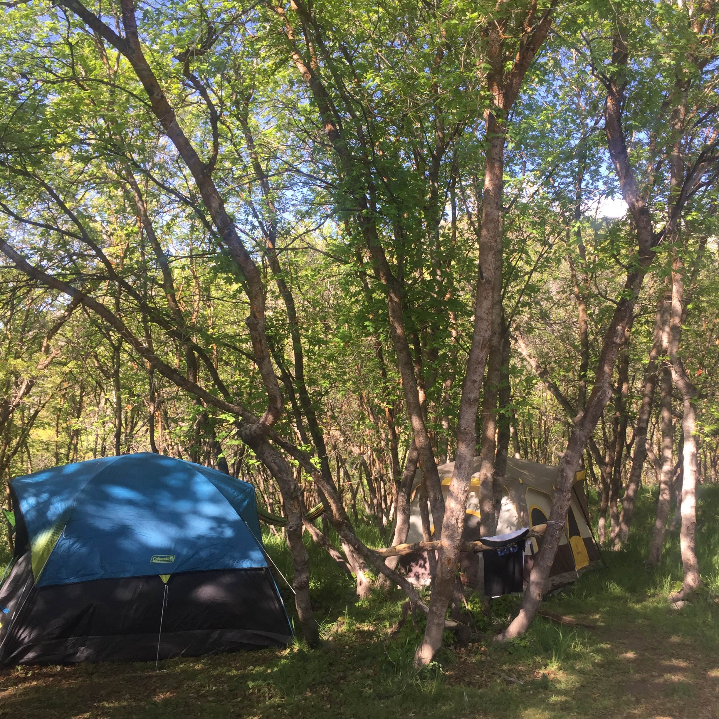 Maple Lake Campground Camping | The Dyrt