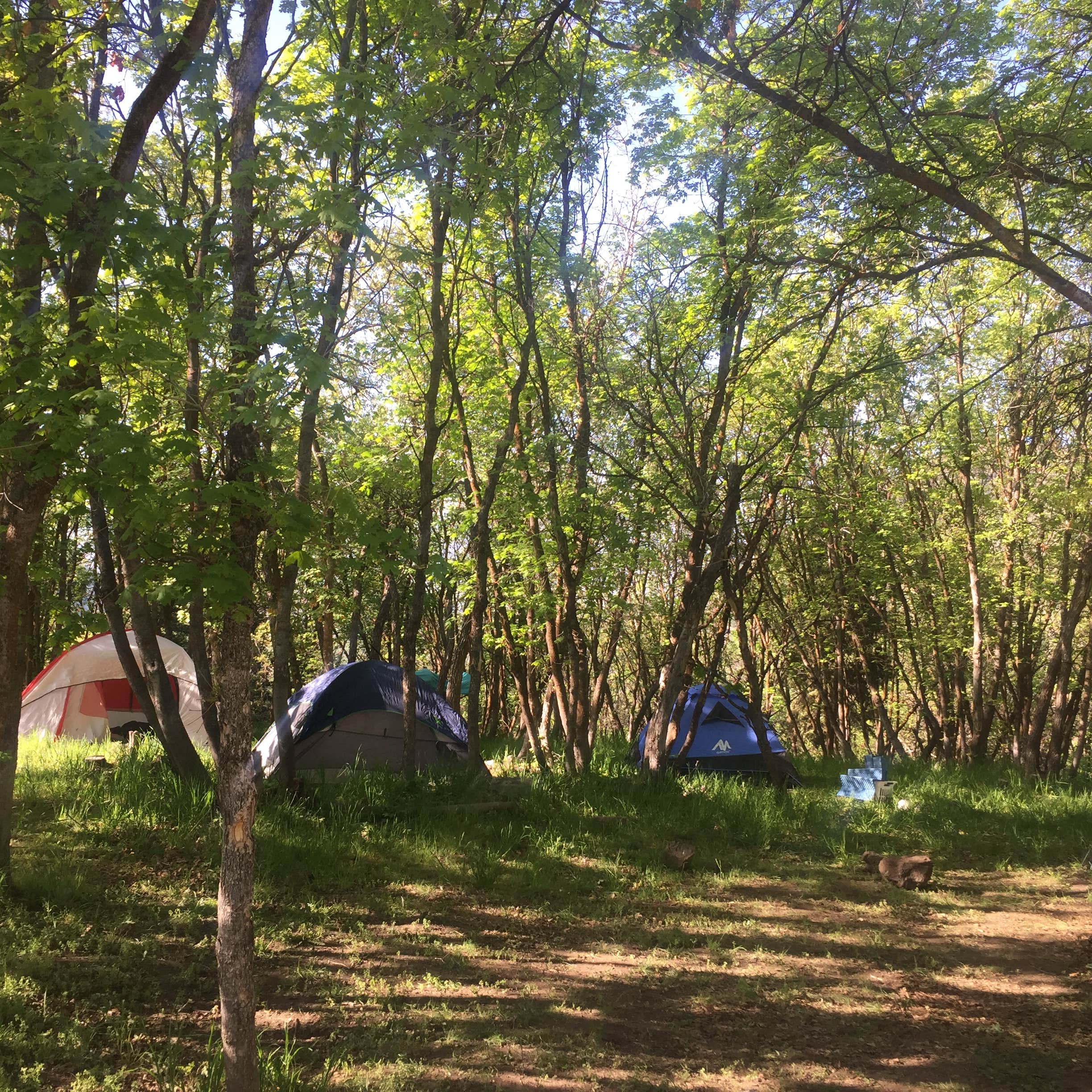 Maple Lake Campground Camping | The Dyrt