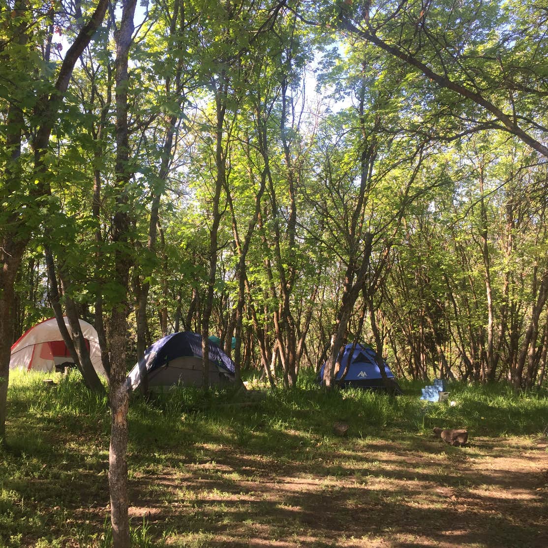 Maple Lake Campground Camping | The Dyrt