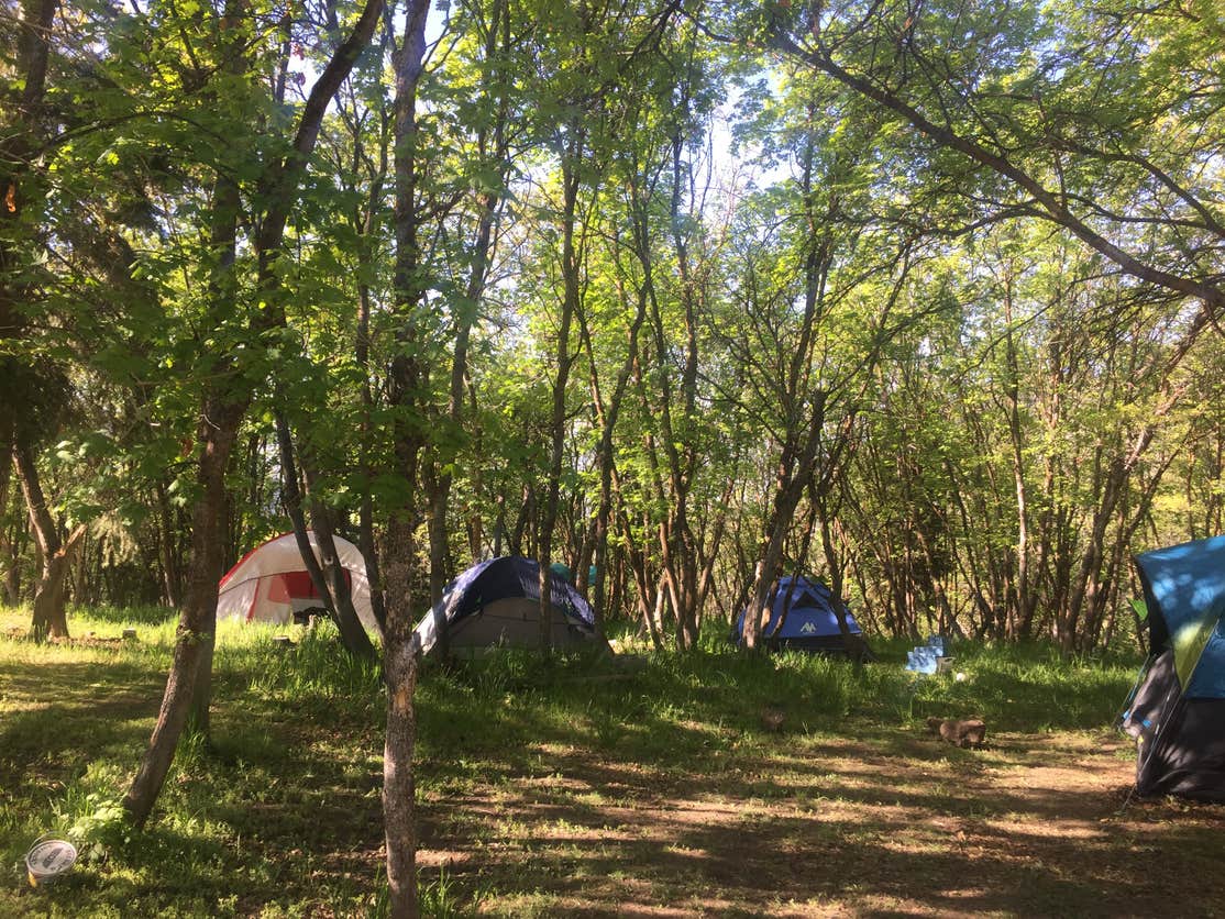 Maple Lake Campground | The Dyrt