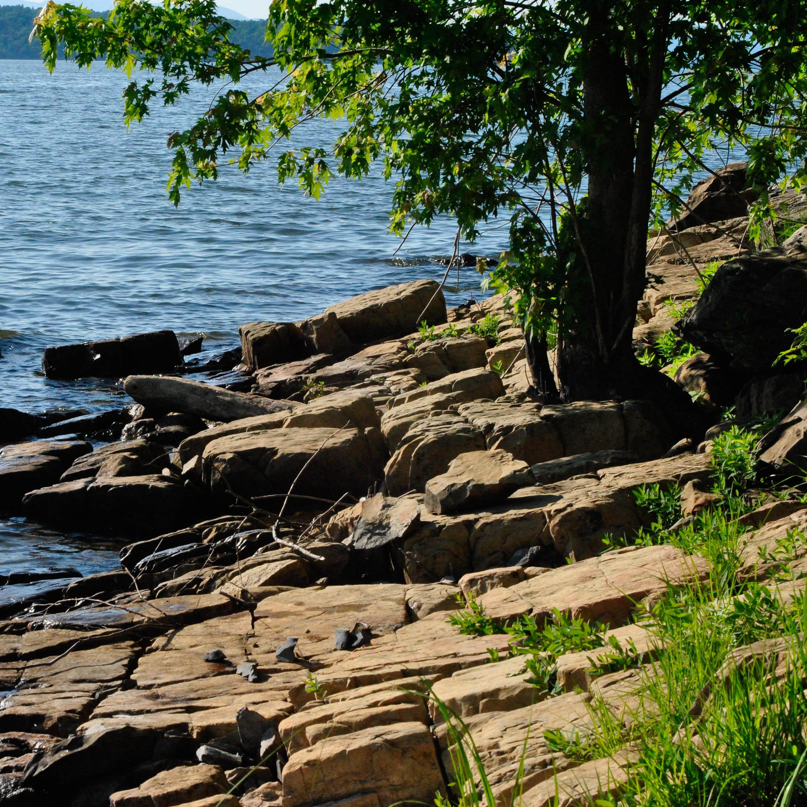 Button Bay State Park Camping | The Dyrt