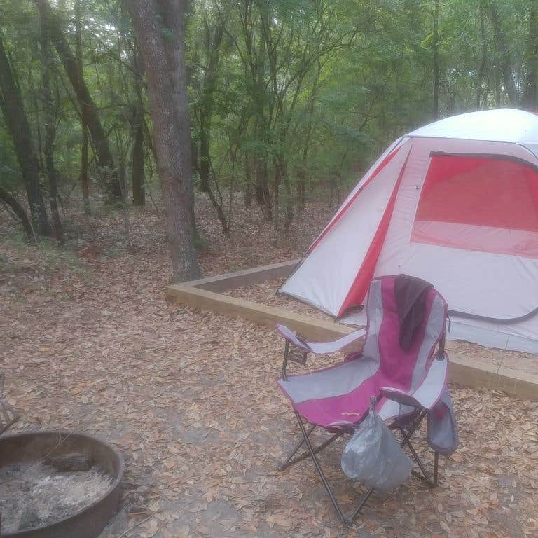 Jennings State Forest Hammock Campground | Middleburg, Florida