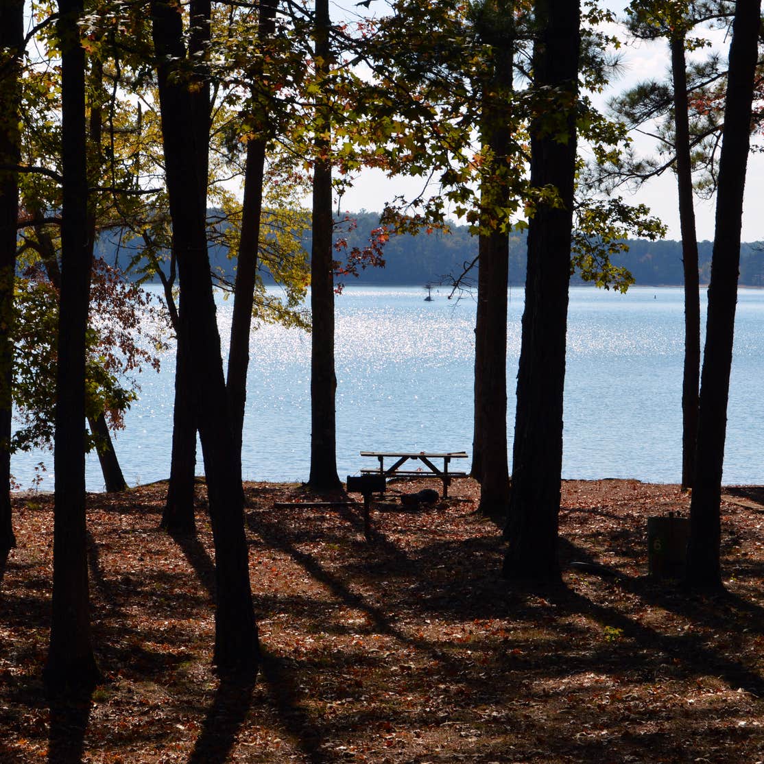 Pyne Road Park Campground | Wildwood, Georgia
