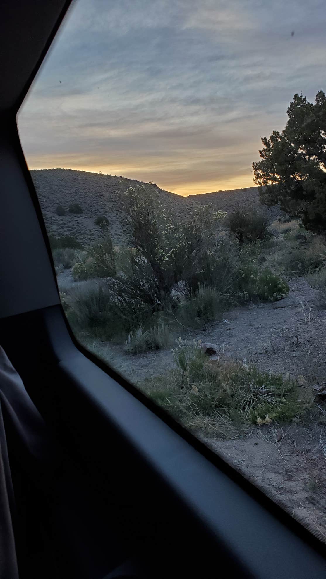 #375 off Extraterrestrial Highway Camping | The Dyrt