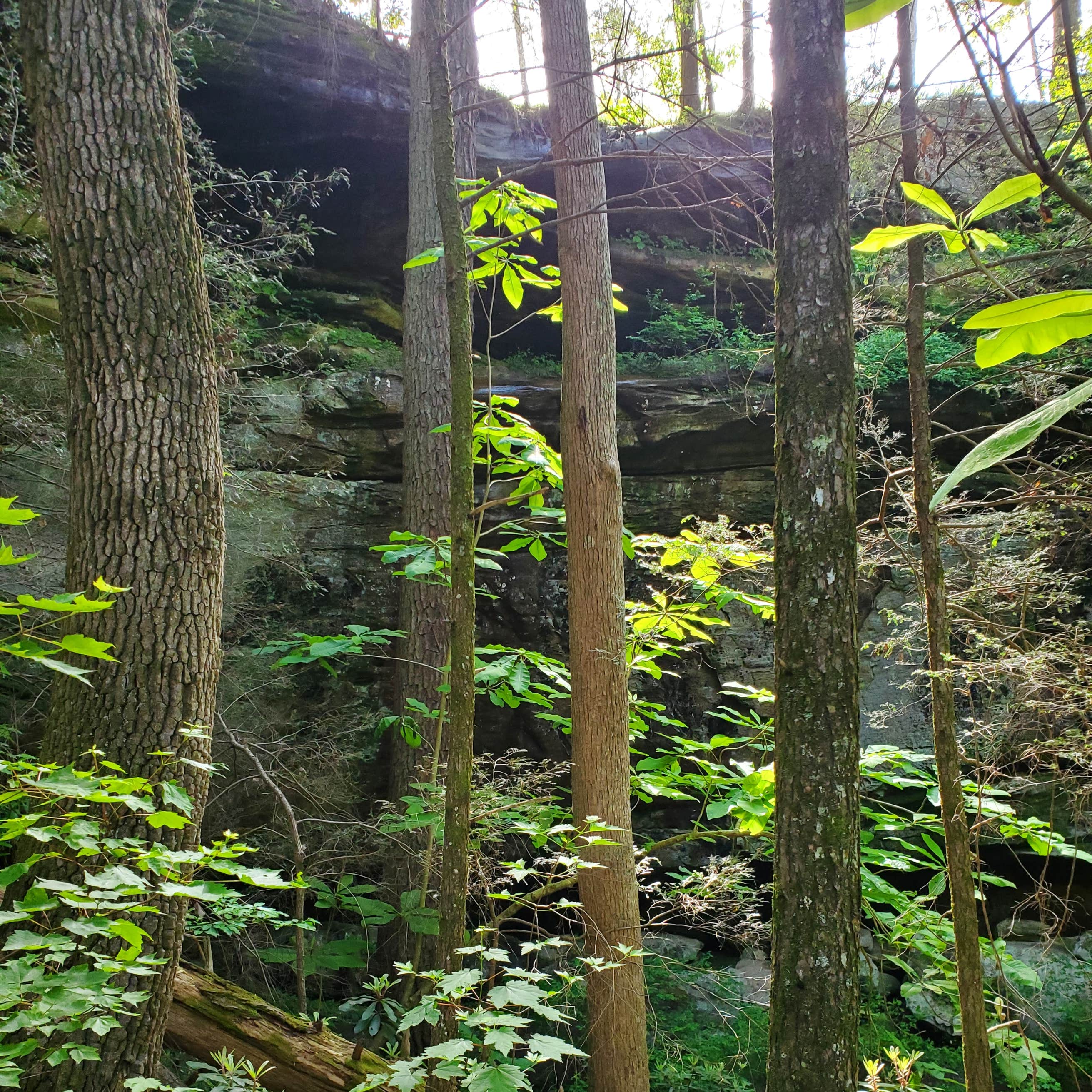 Spacious Skies Campgrounds - Belle Ridge Camping | The Dyrt