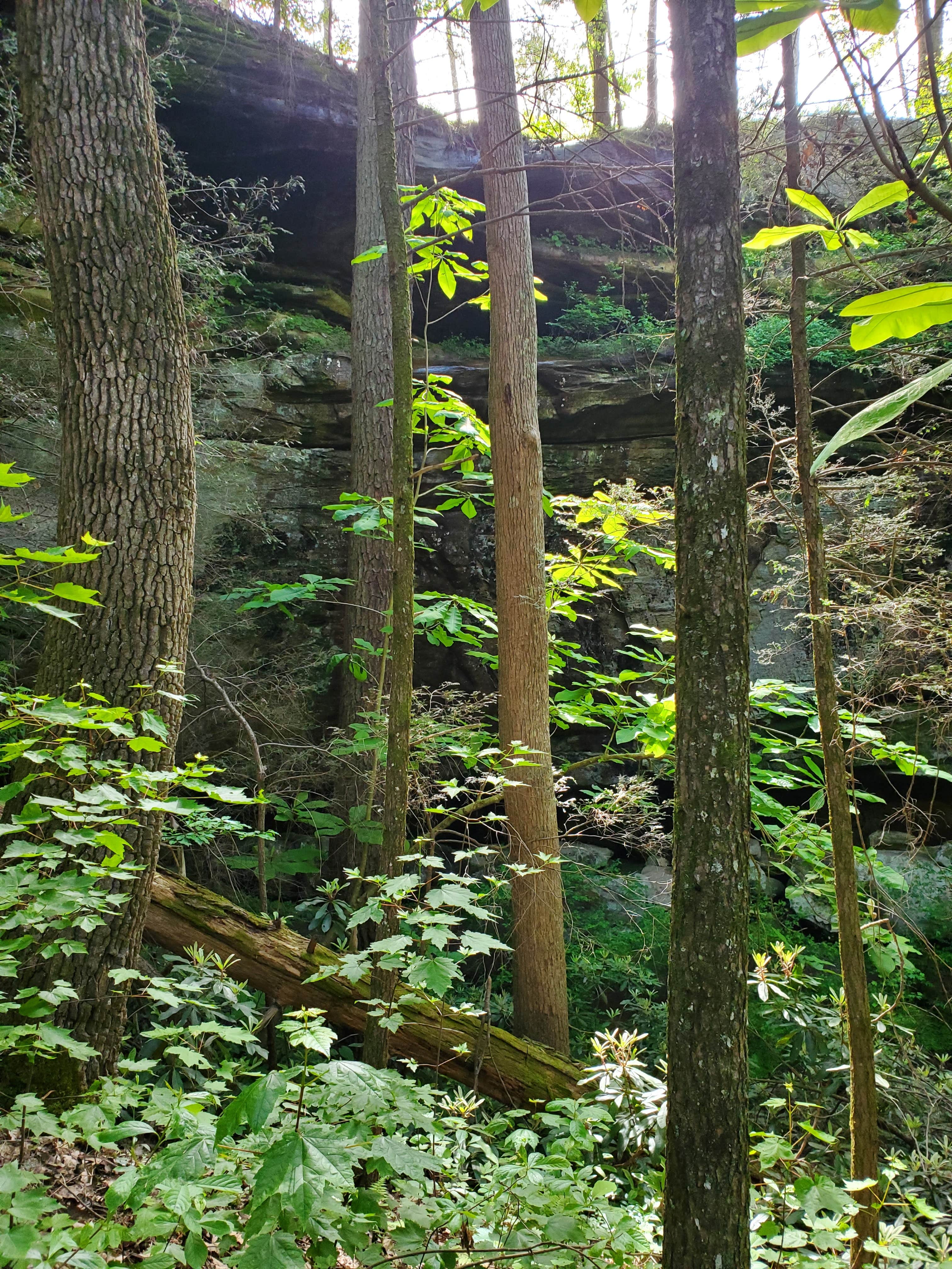 Spacious Skies Belle Ridge Camping | Monterey, TN