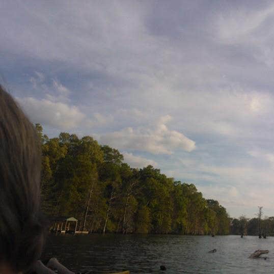 Turkey Fork Rec Area Camping | The Dyrt