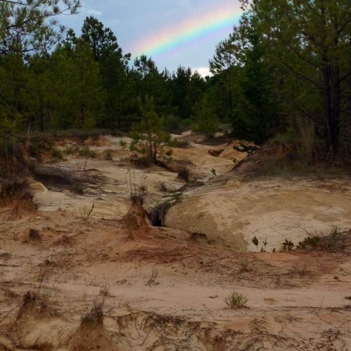 Lake Perry Campground Camping | The Dyrt