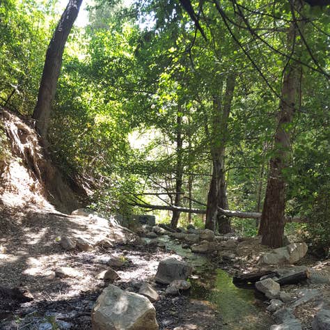 Coldbrook Campground Camping | The Dyrt