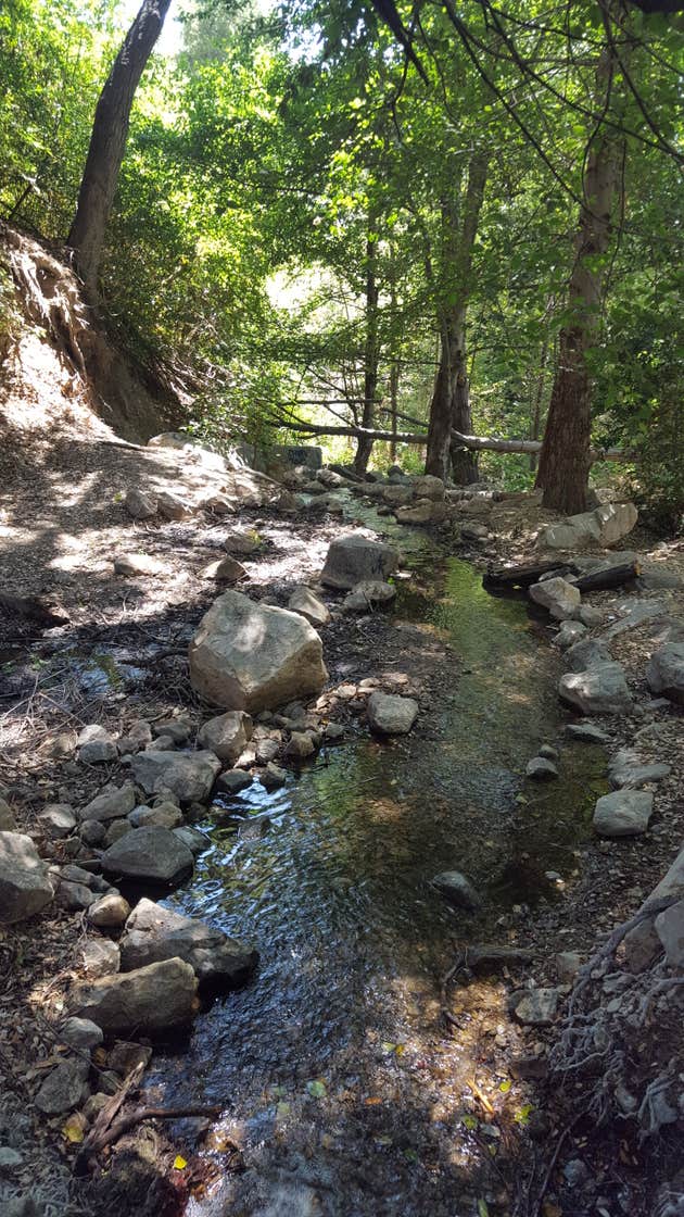 Coldbrook Campground Camping | The Dyrt