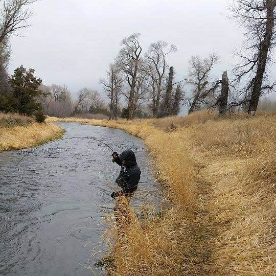 Judith River State WMA Camping | Stanford, Montana