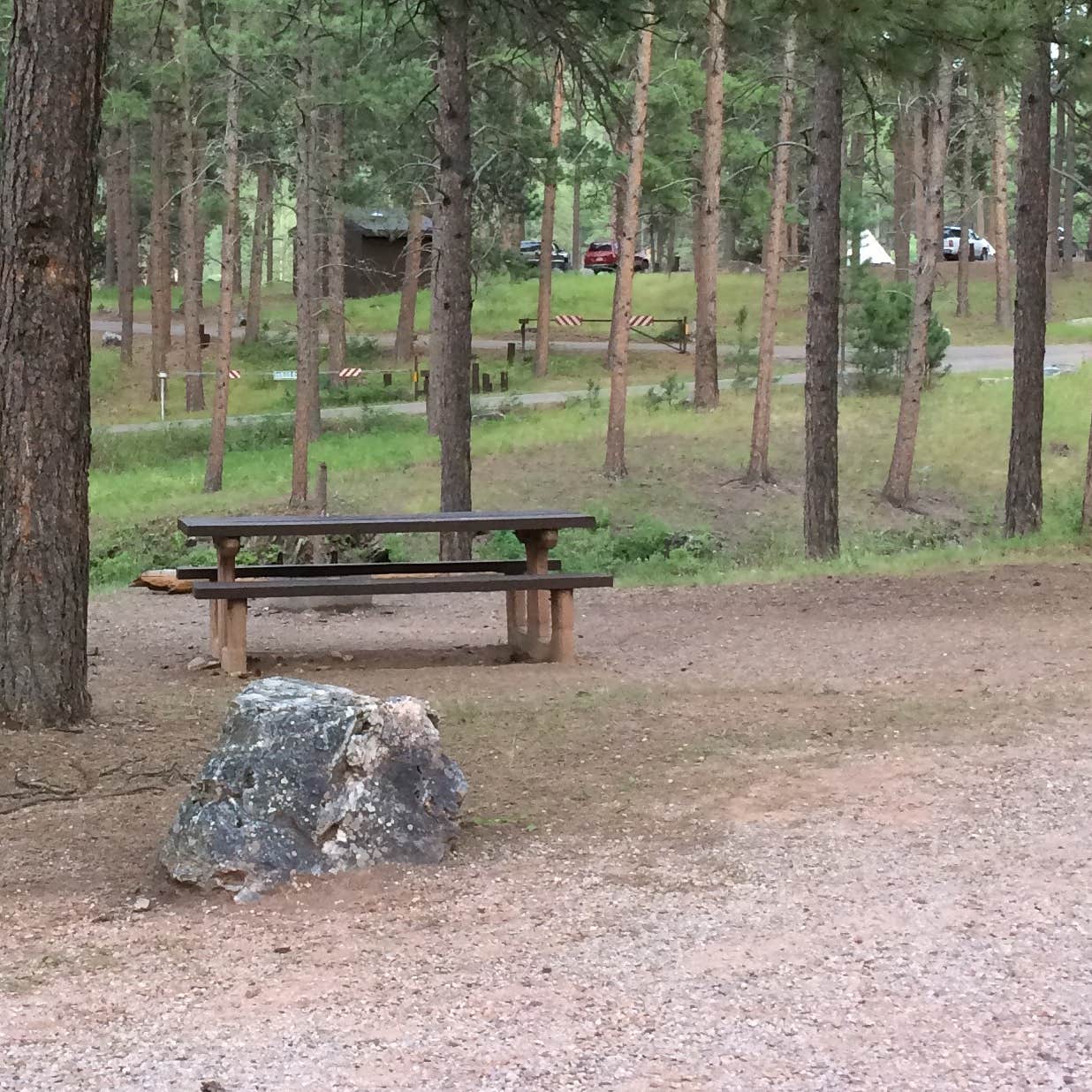Pactola Reservoir Campground Camping | The Dyrt