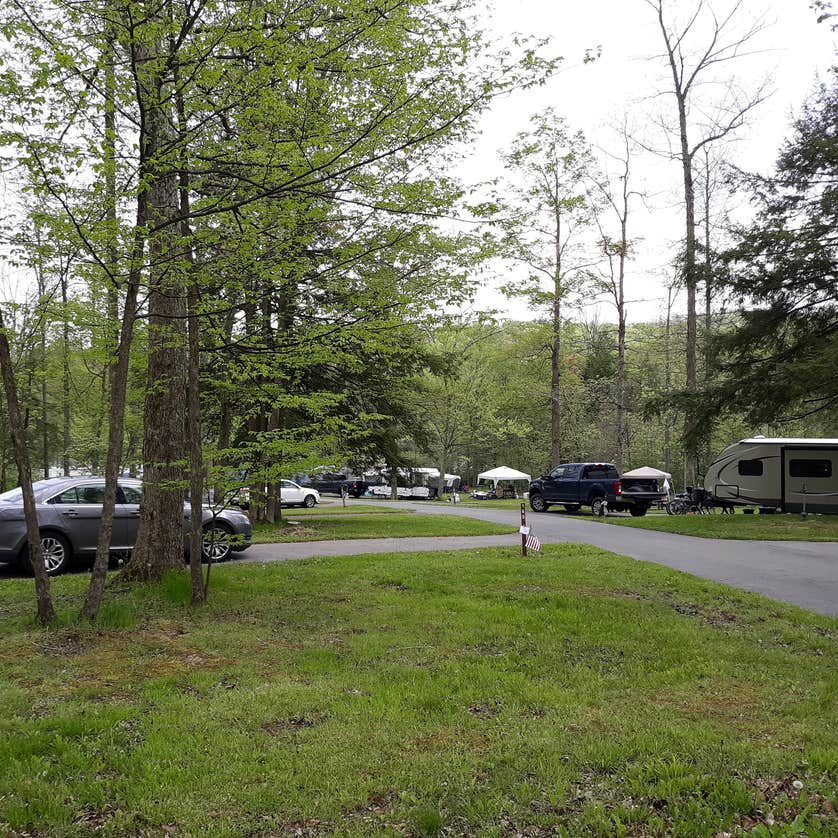 Prince Gallitzin State Park Crooked Run Campground Camping | The Dyrt