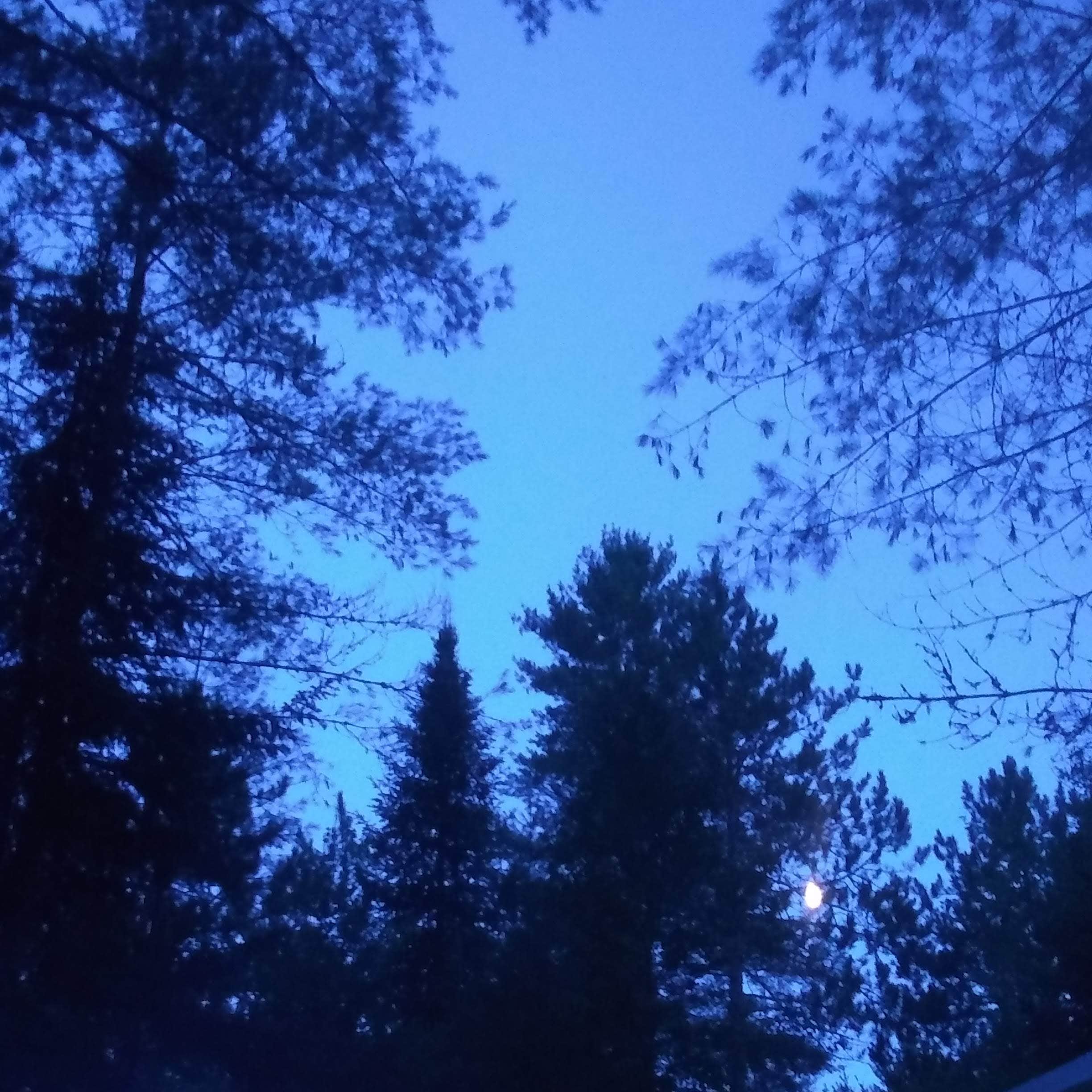 Buck Pond Campground Camping | The Dyrt