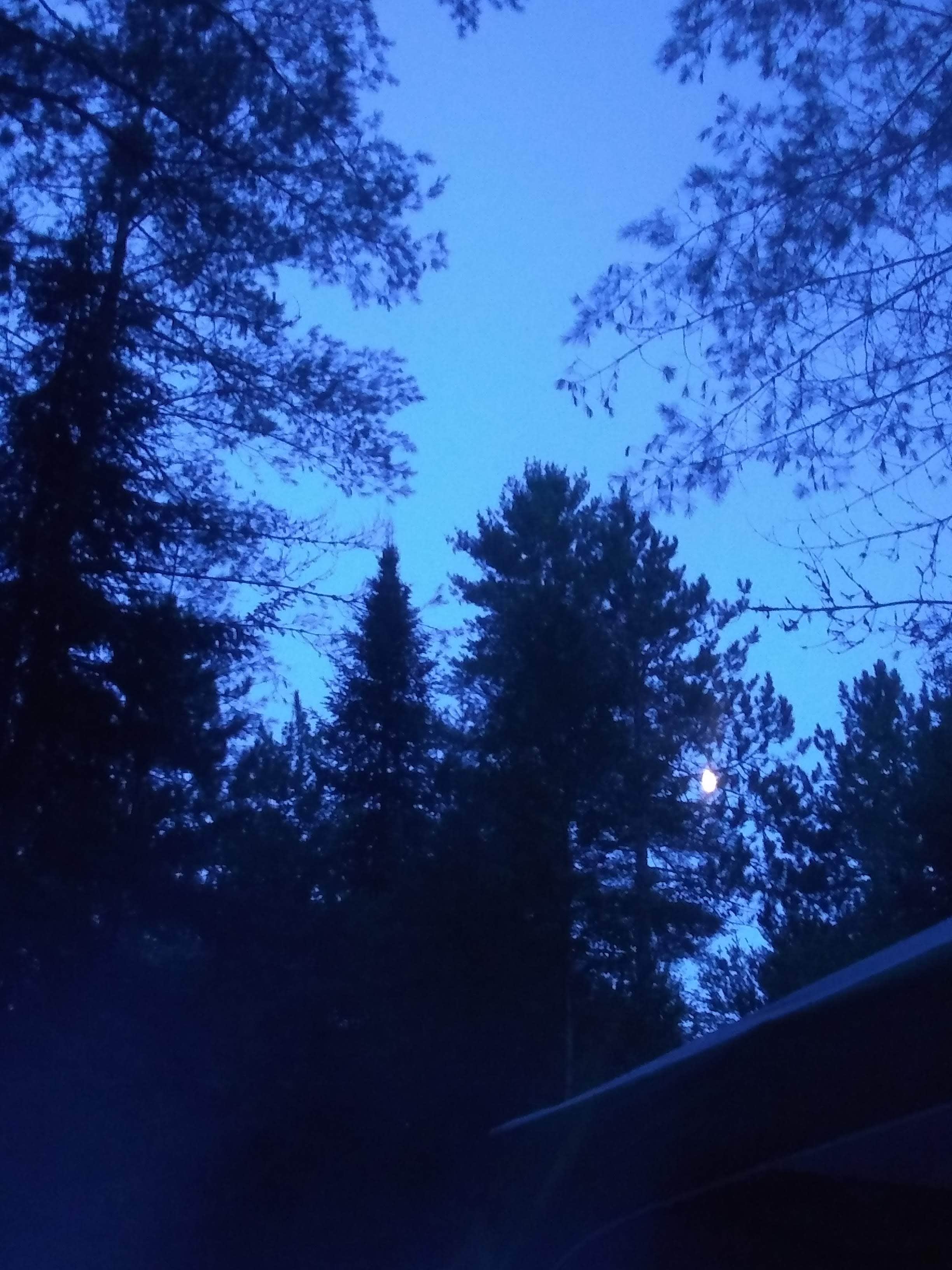 Buck Pond Campground | Vermontville, NY