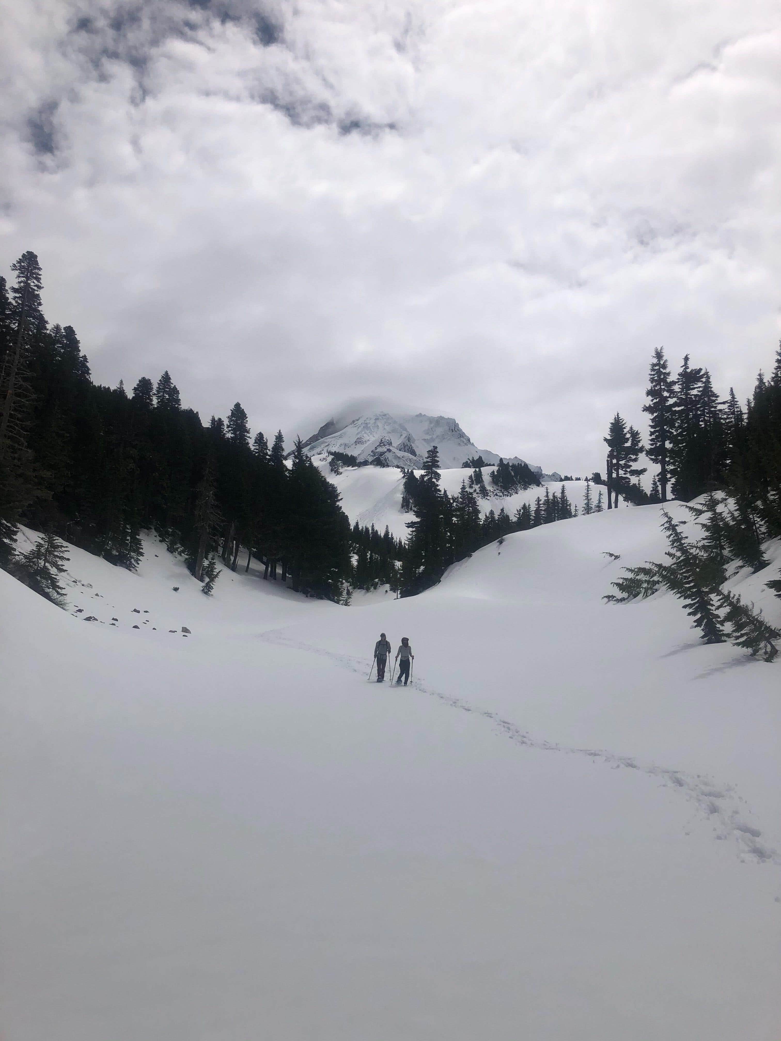 McNeil Point Dispersed Camping | Government Camp, OR