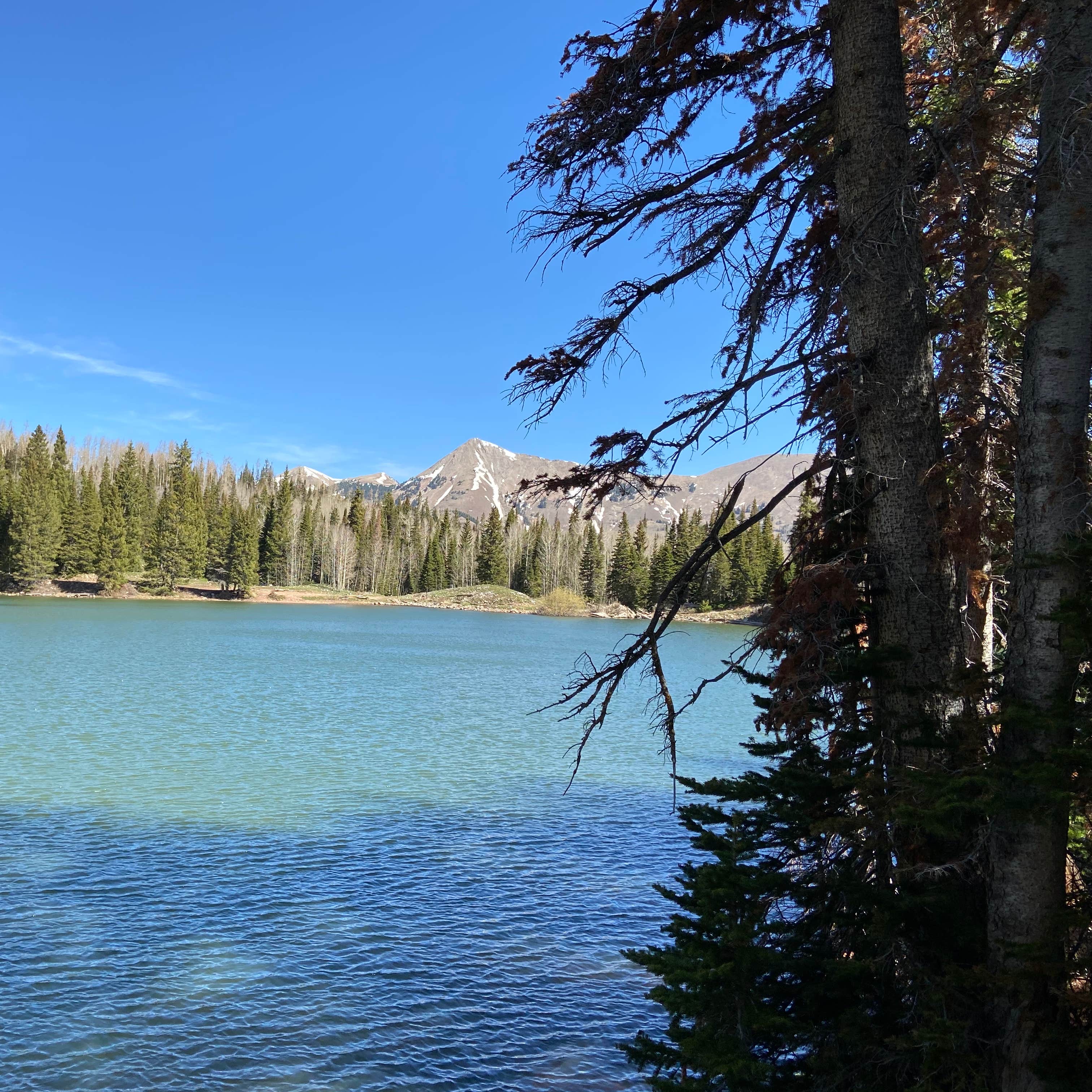 Geyser Pass Yurt Camping | The Dyrt