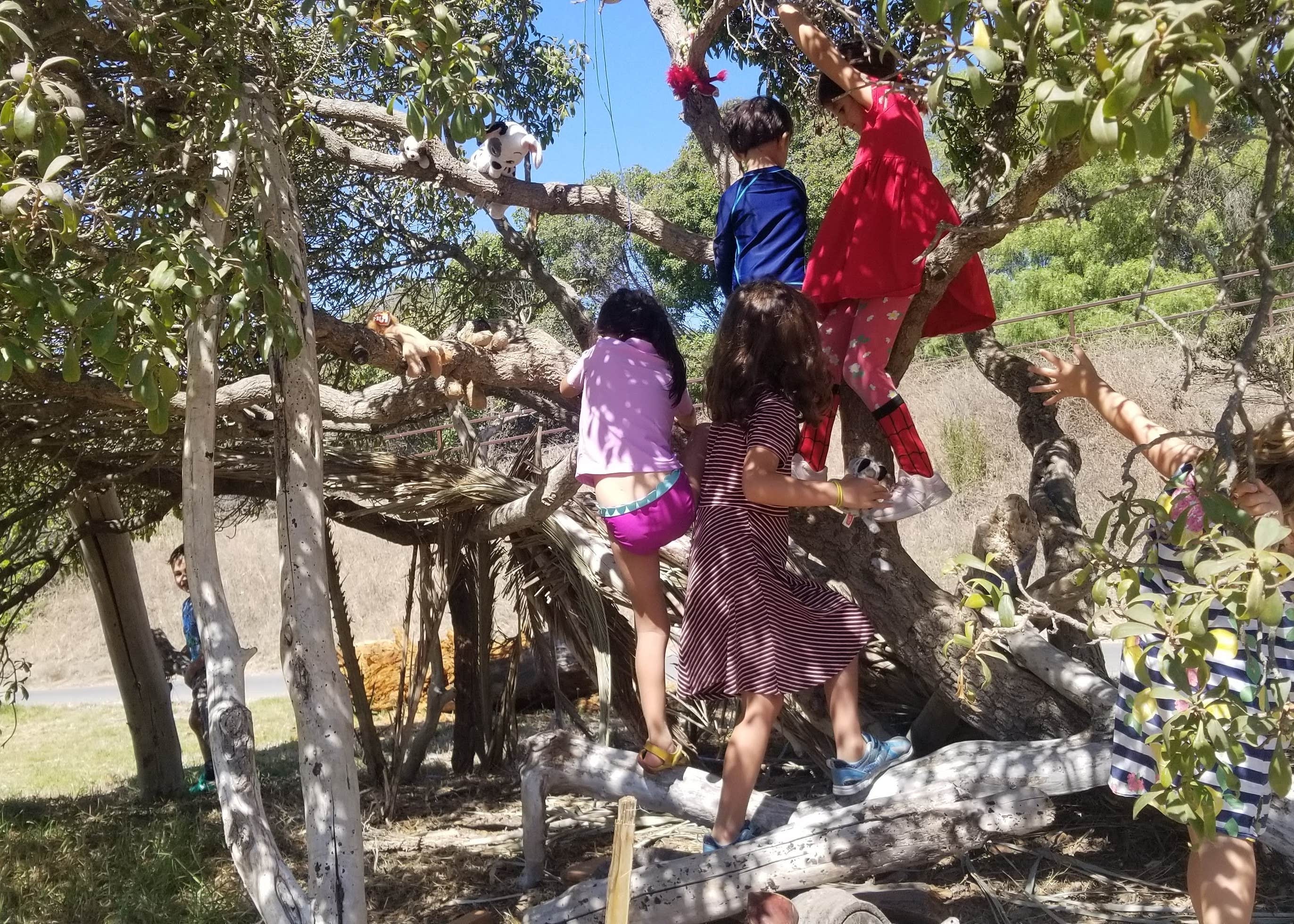 Refugio State Beach Campground Camping | The Dyrt