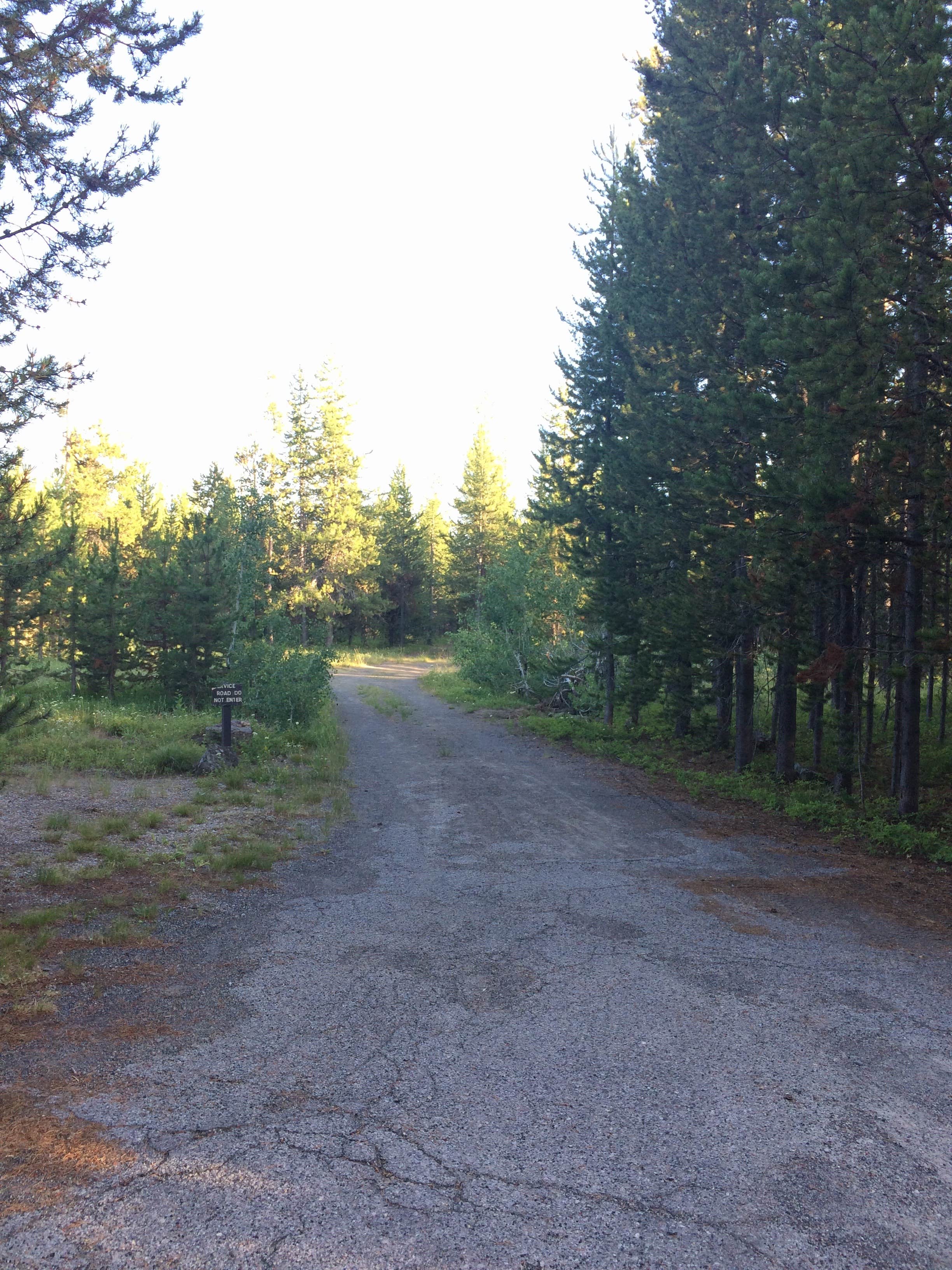 Big Springs Campground | Island Park, ID