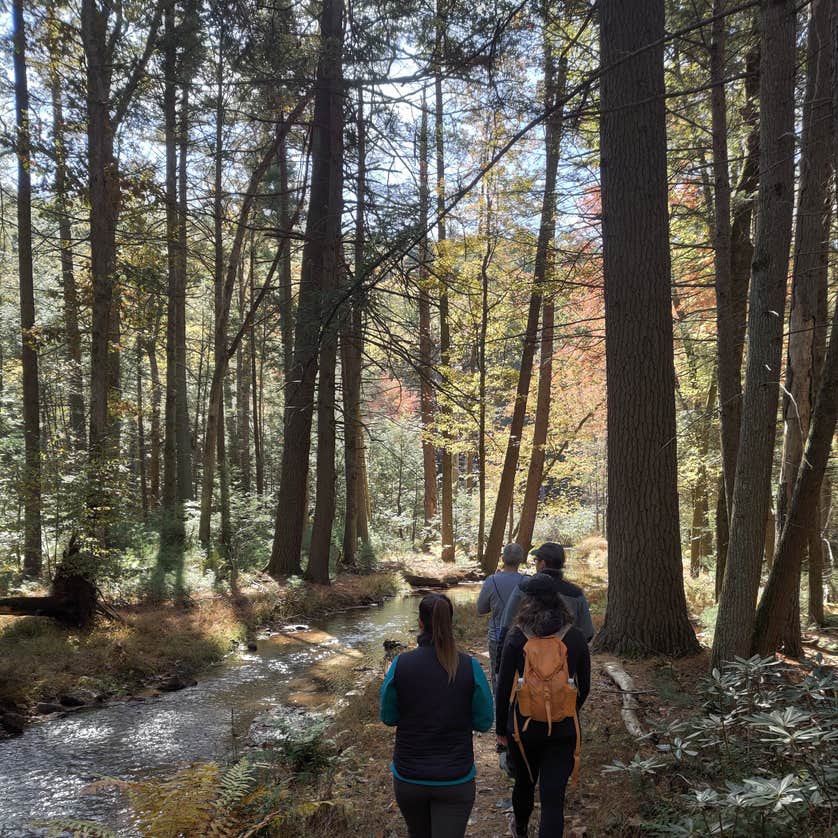 Caledonia State Park Camping | The Dyrt