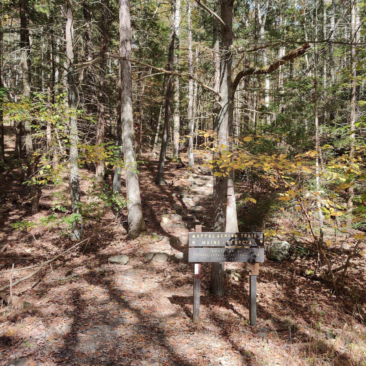 Caledonia State Park Camping | The Dyrt