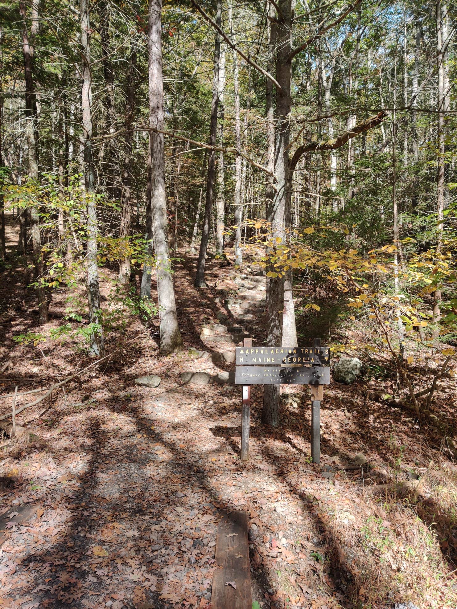 Caledonia State Park Camping | The Dyrt