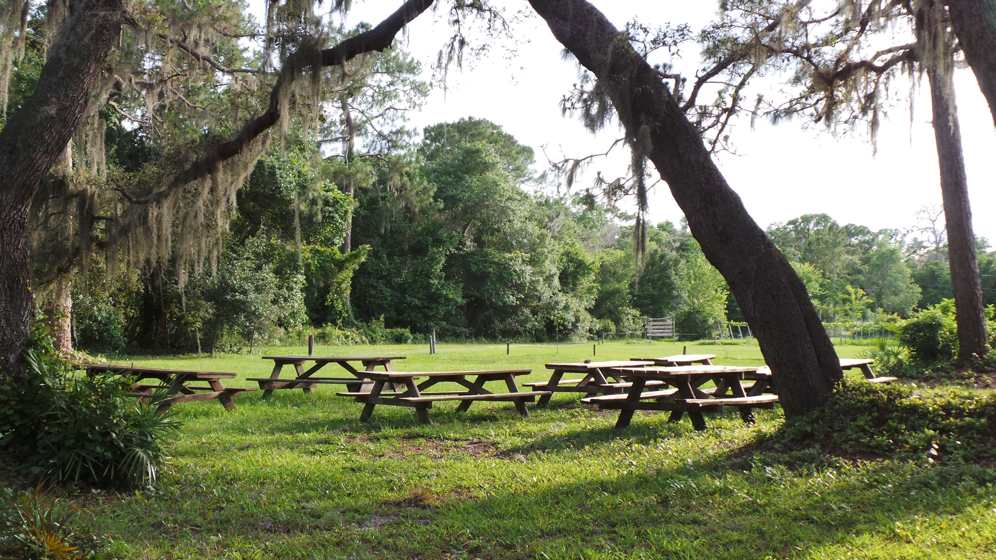 Crowley Museum and Nature Center Group Camp Camping | The Dyrt