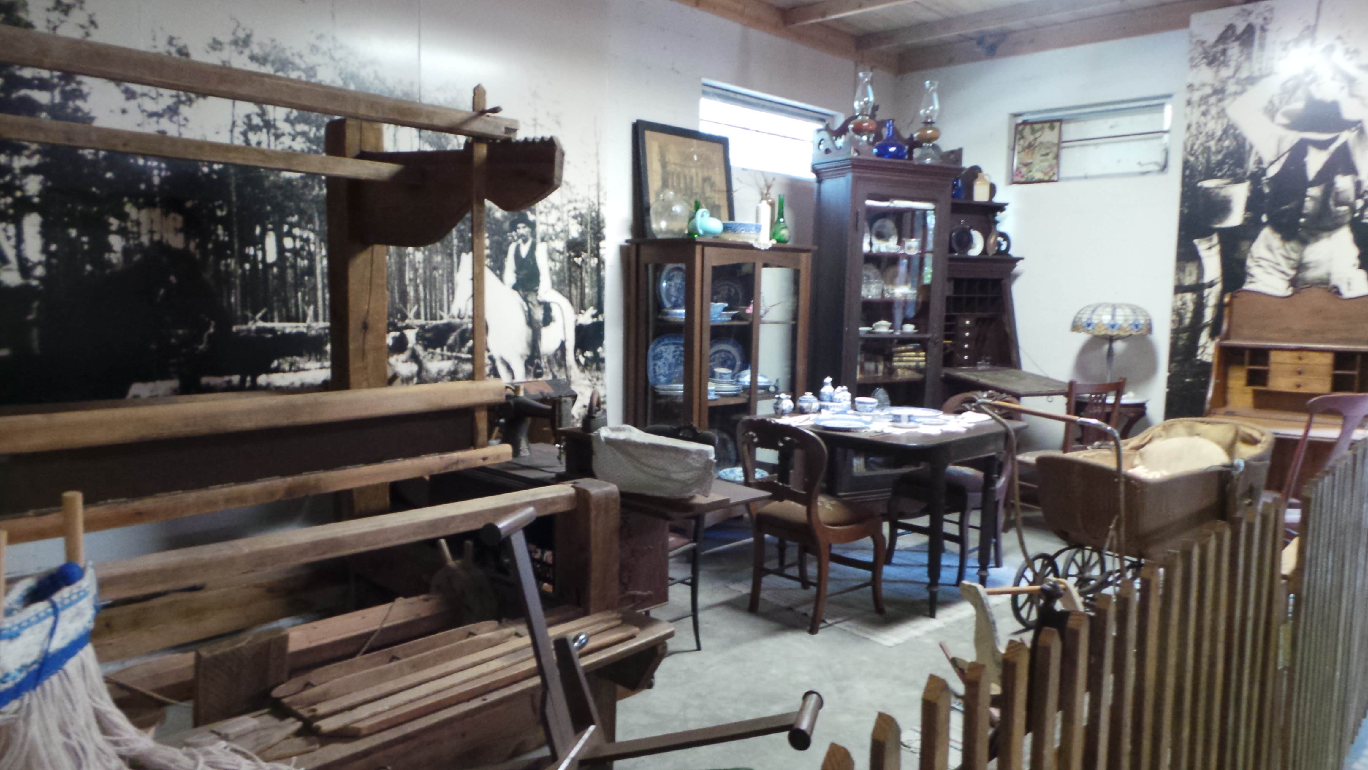 Crowley Museum and Nature Center Group Camp | Myakka City, FL