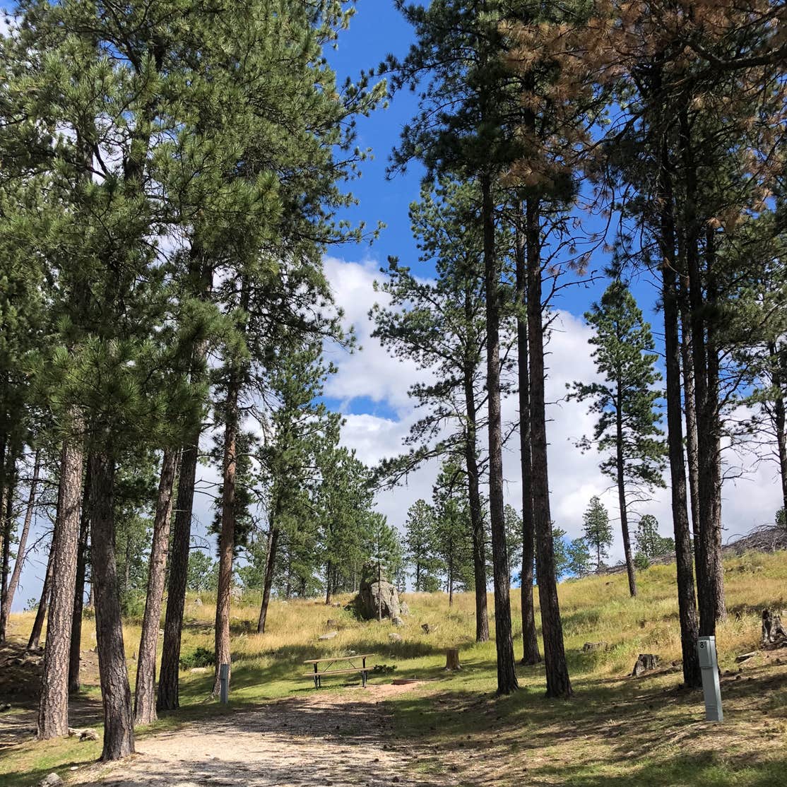 Custer Mountain Cabins and Campground Camping | The Dyrt