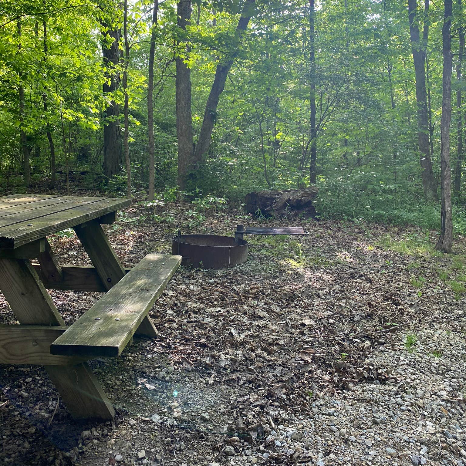 Summit Lake State Park Campground | Mooreland, Indiana