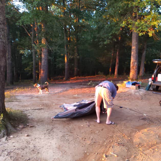 Ginger Bay Basic Camping Area | Barkley Lake, Kentucky