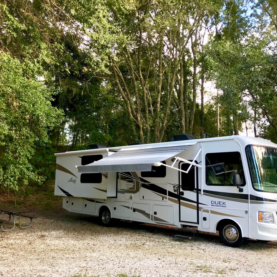 Rodman Campground Camping | The Dyrt