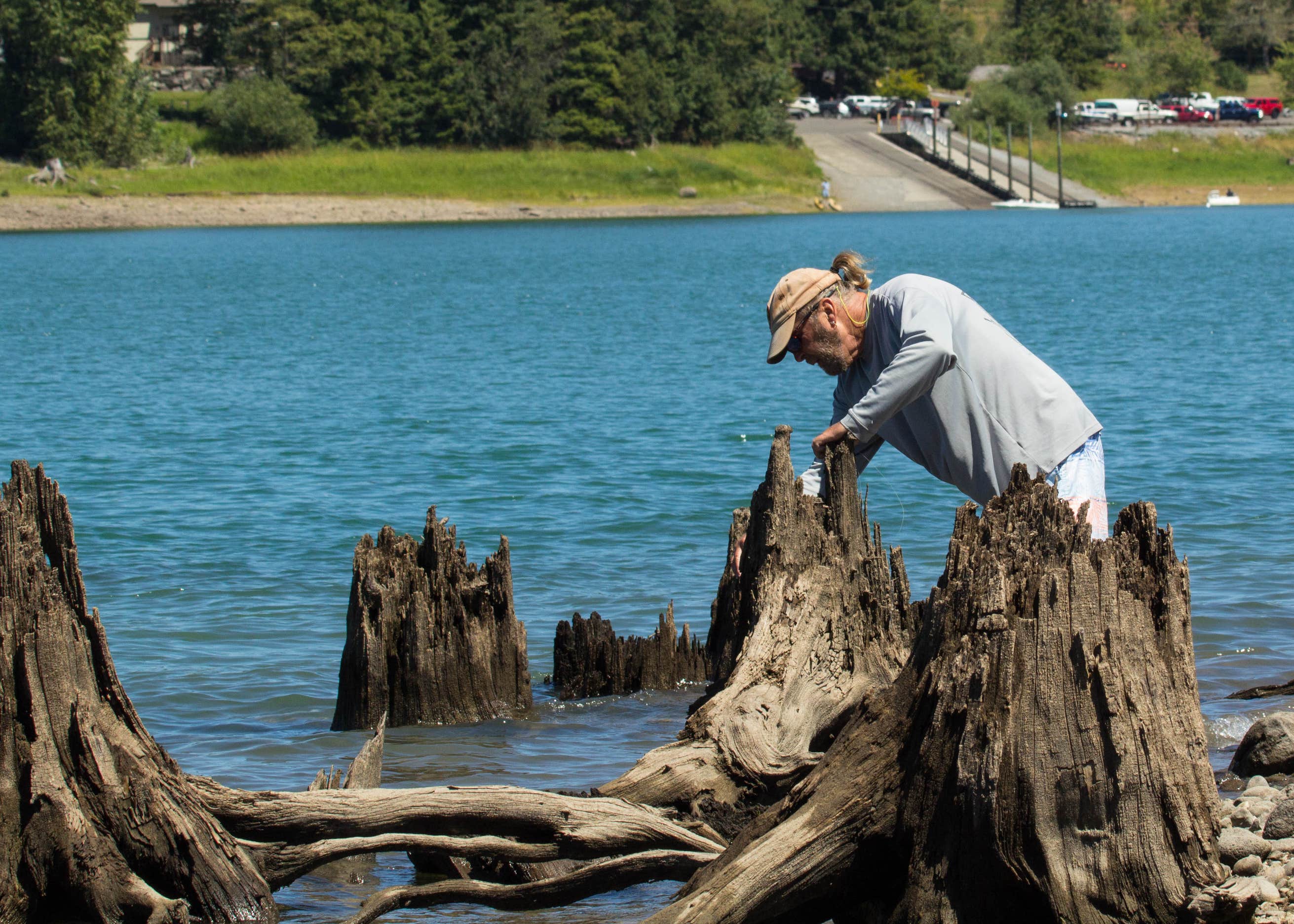 Alder Lake Park Camping | Eatonville, WA | The Dyrt
