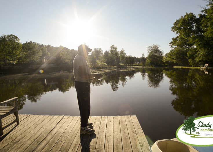 Shady Grove Campground Camping | The Dyrt
