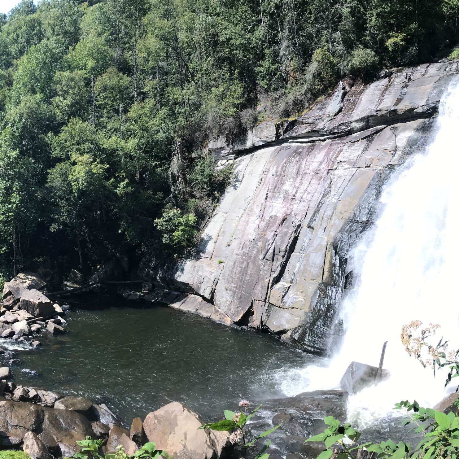 Gorges State Park Camping | The Dyrt