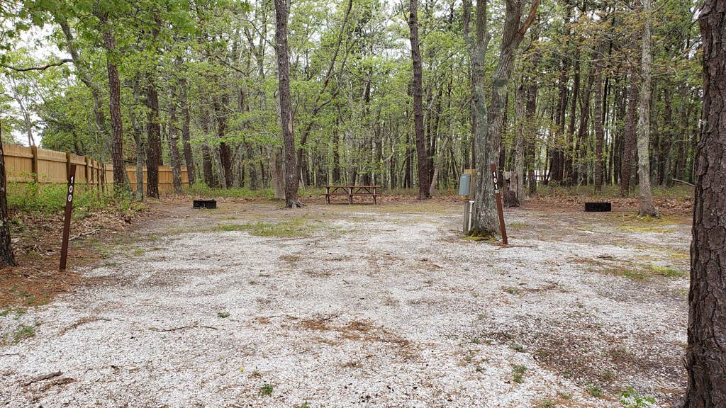 Wellfleet Hollow State Park Campground | South Wellfleet, MA