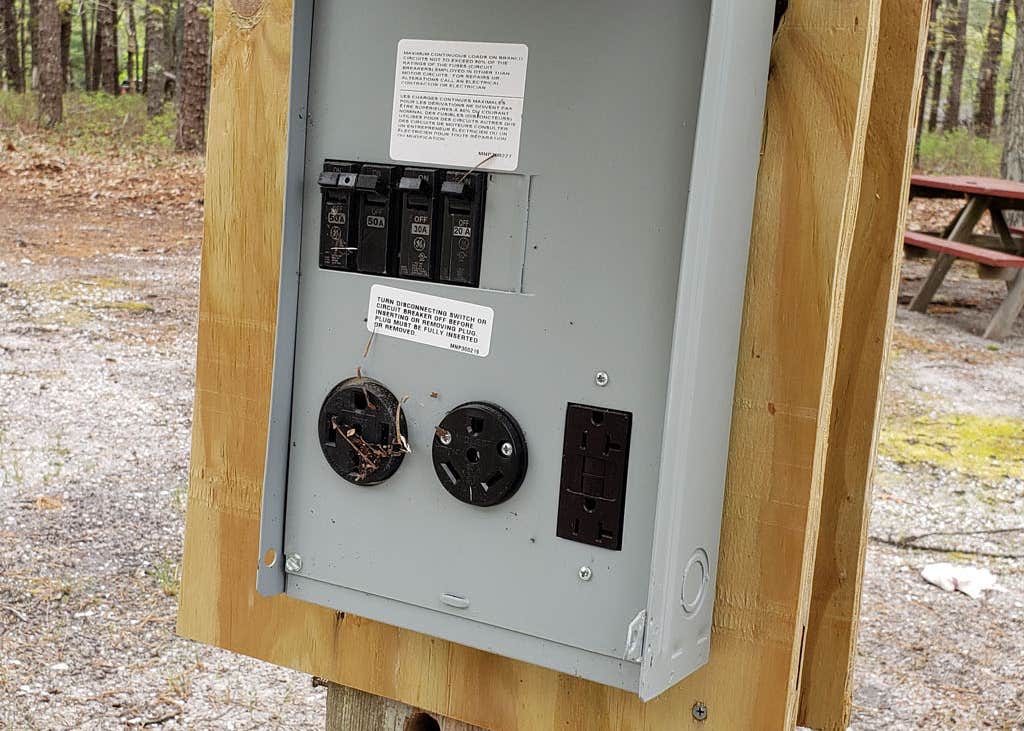 Wellfleet Hollow State Park Camping | The Dyrt