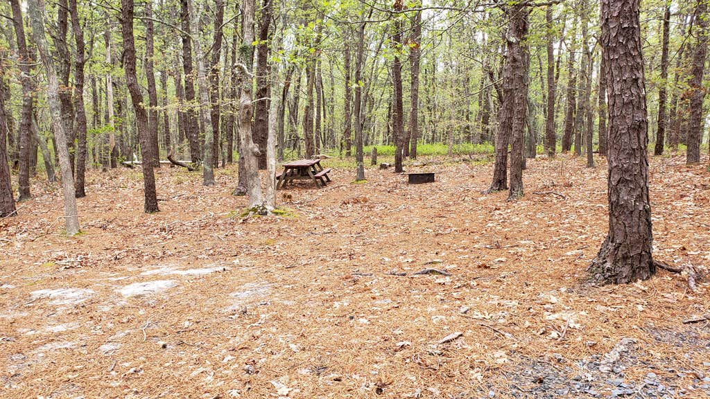 Wellfleet Hollow State Park | The Dyrt