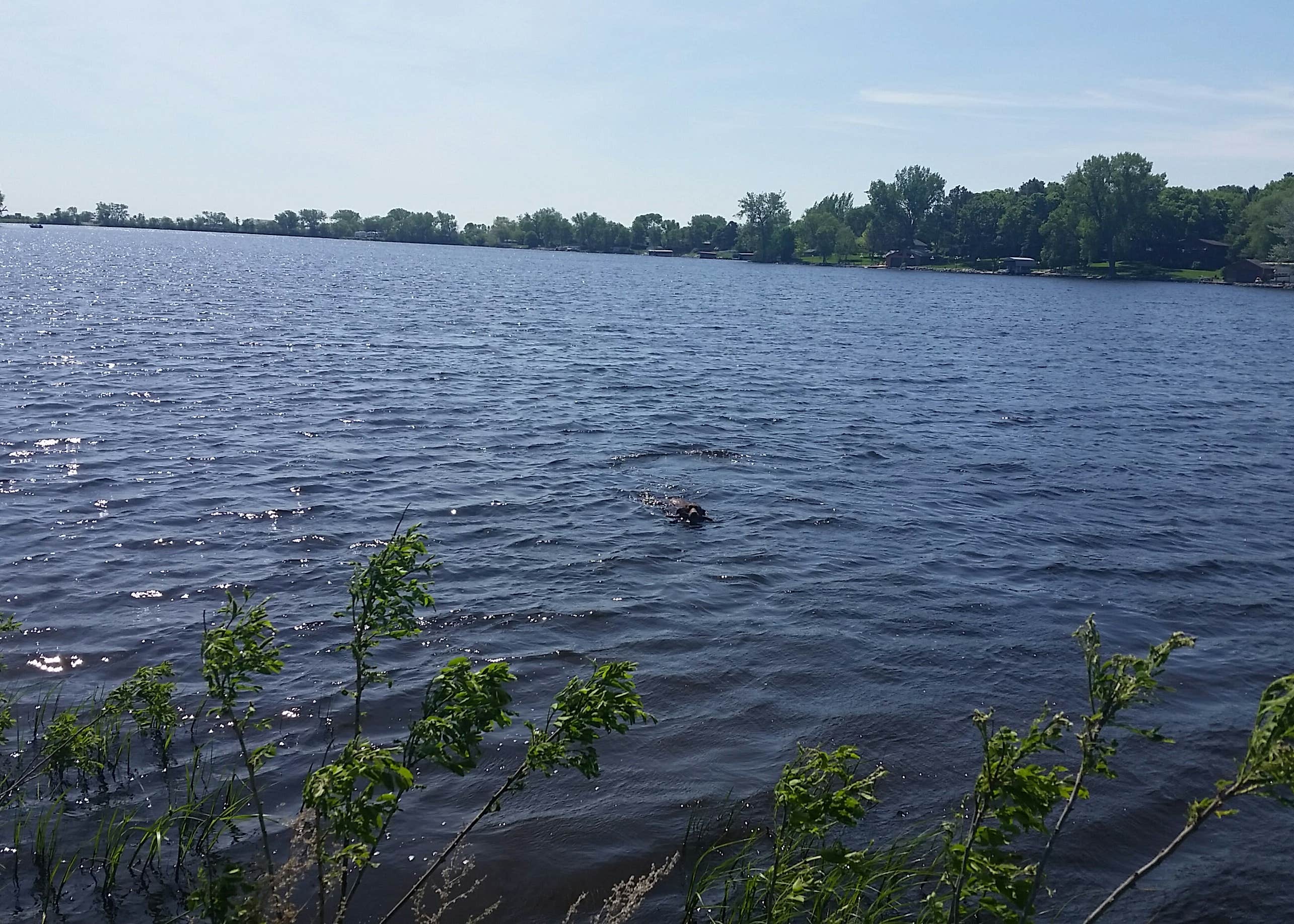 Mina State Rec Area Camping | The Dyrt