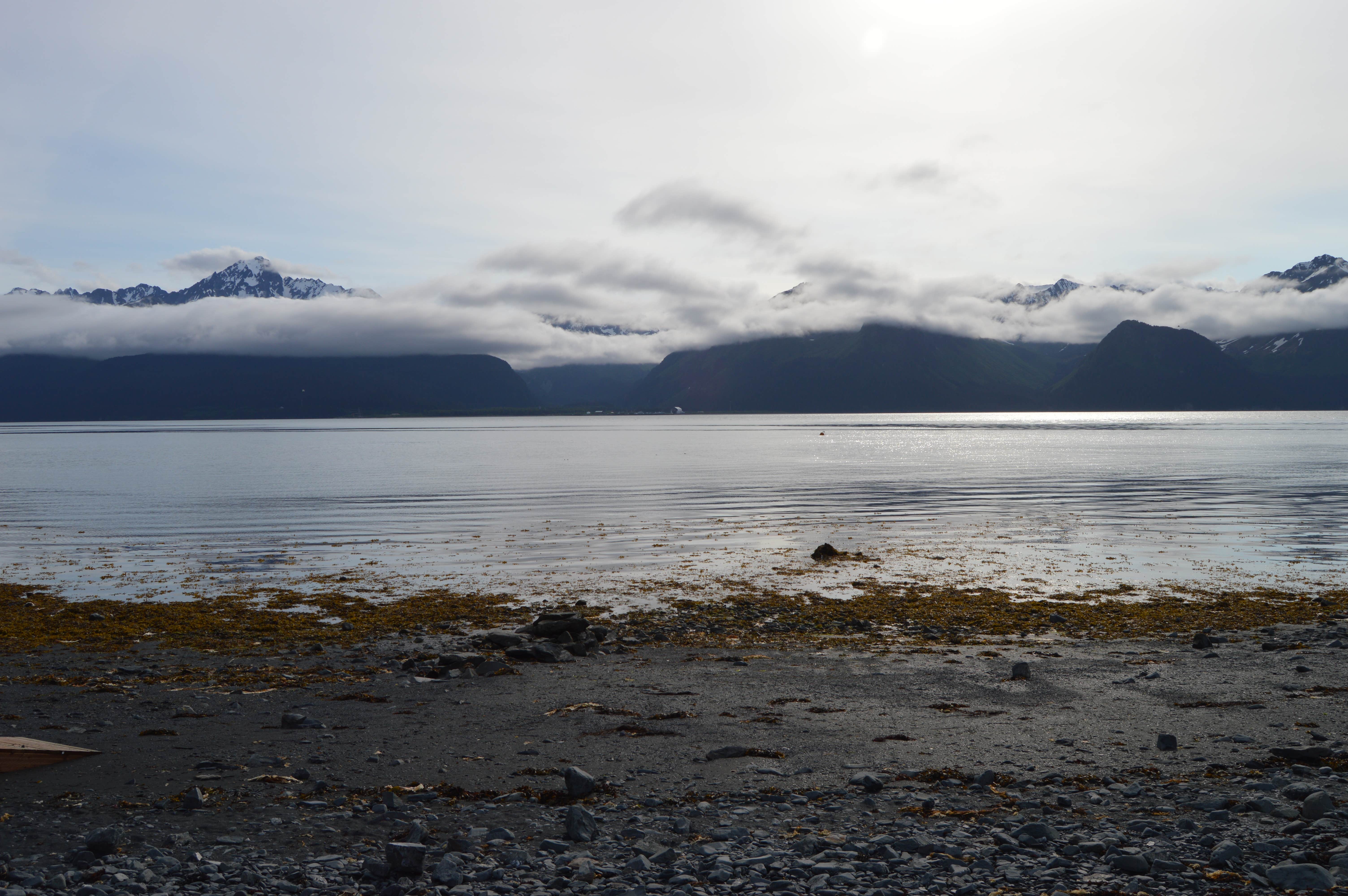 Miller's Landing Camping | Seward, Alaska