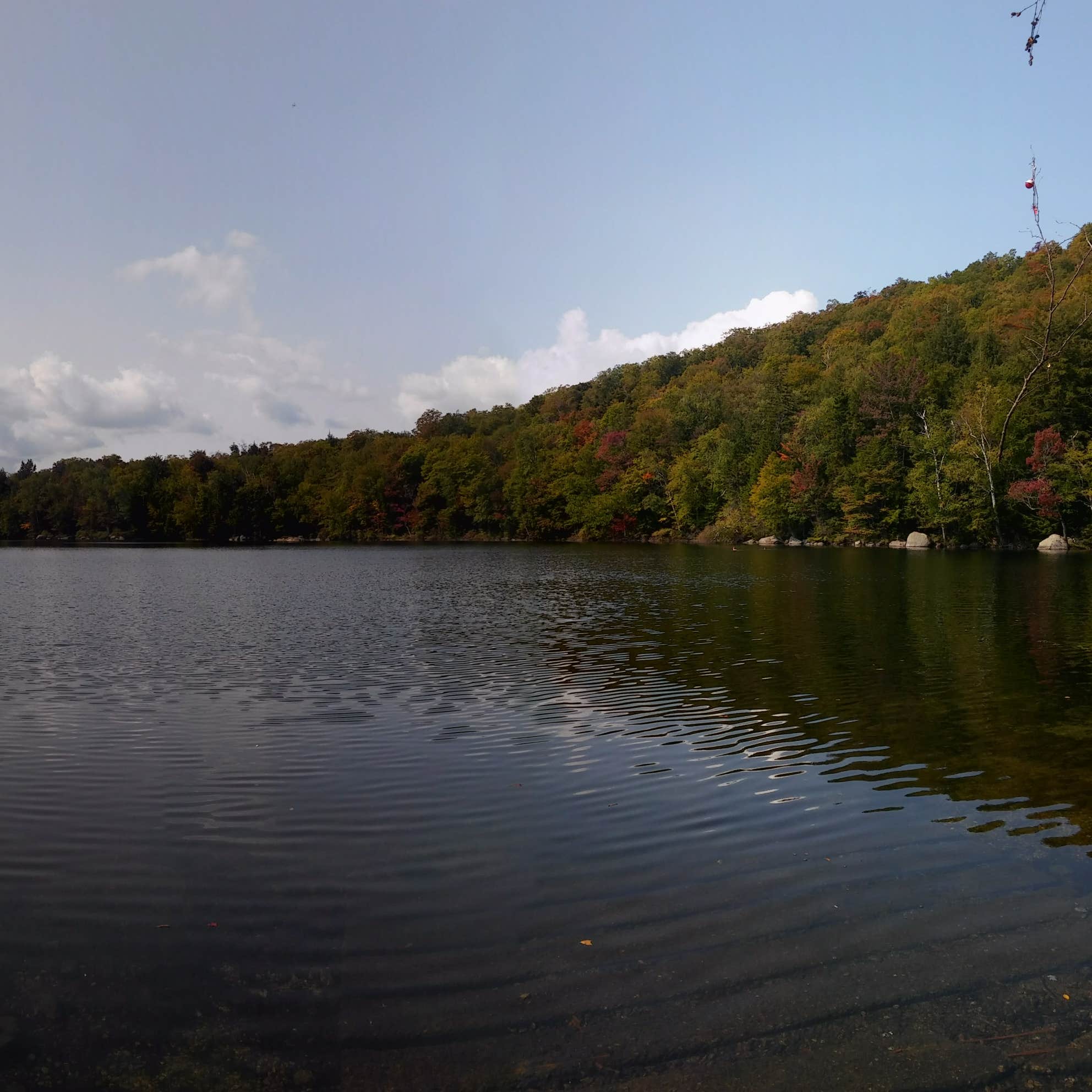 Russell Pond Campground Camping | The Dyrt