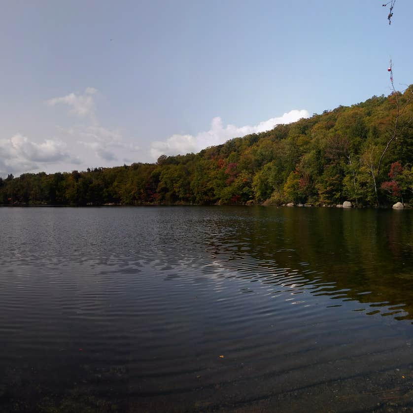 Russell Pond Campground Camping | The Dyrt