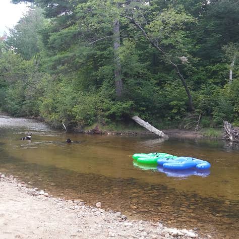 Passaconaway Campground Camping | The Dyrt