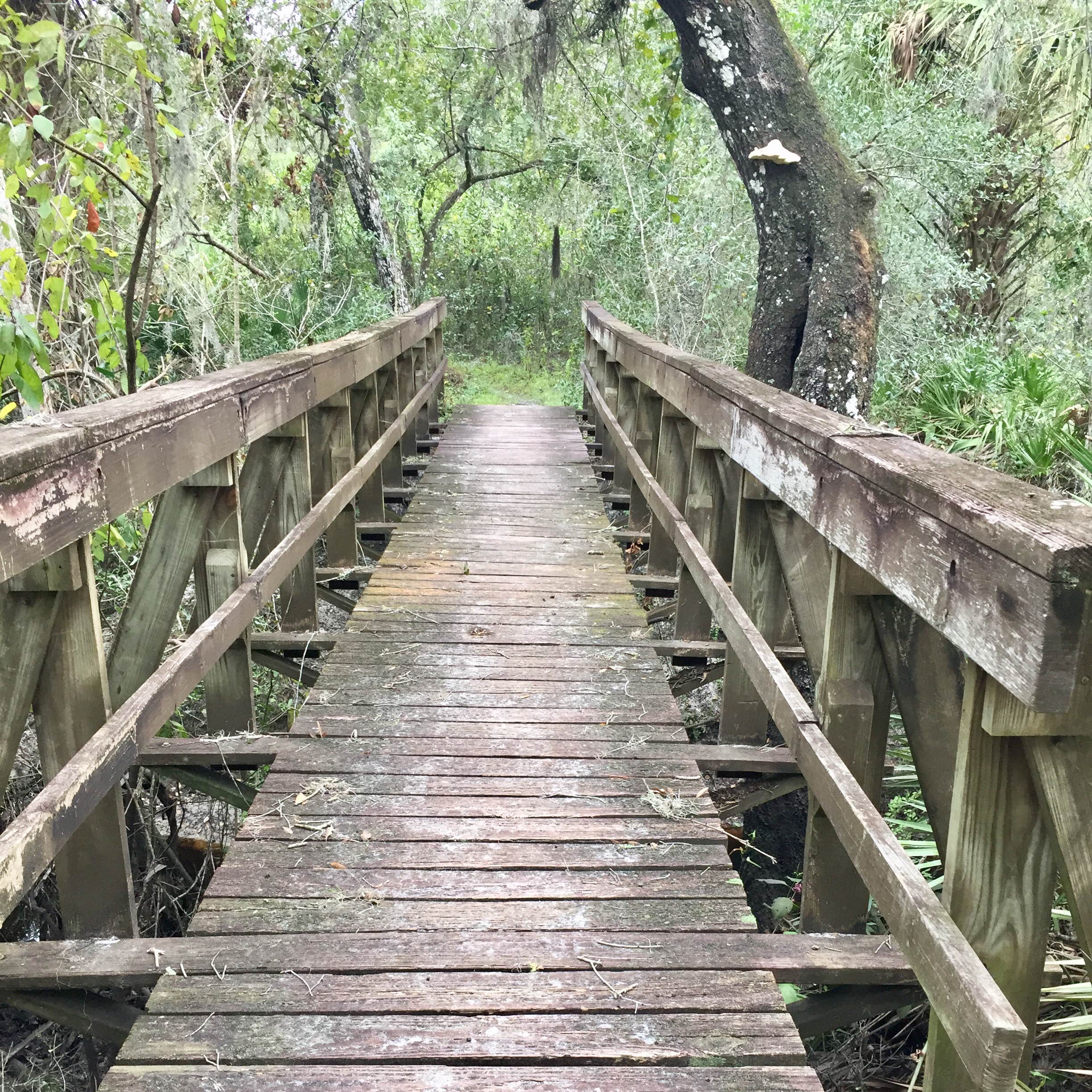 Little Manatee River State Park Camping | The Dyrt