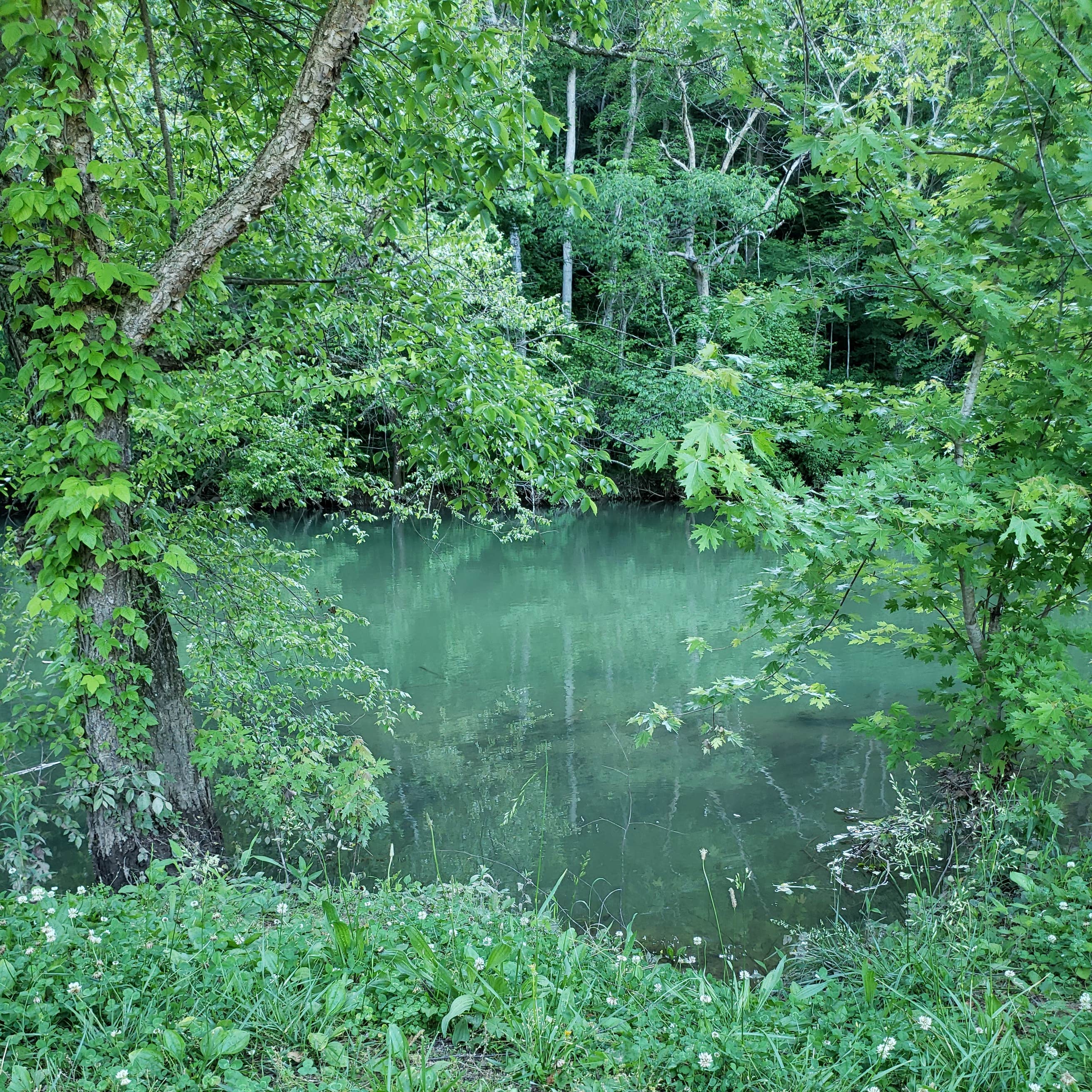 Bass' River Resort Camping | Leasburg, Missouri