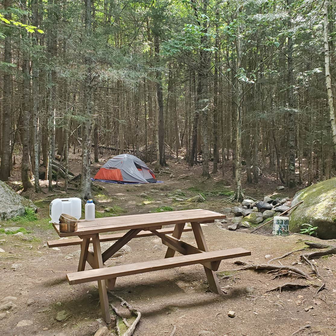 Stephen Phillips Memorial Preserve Wilderness Camping | Oquossoc, ME