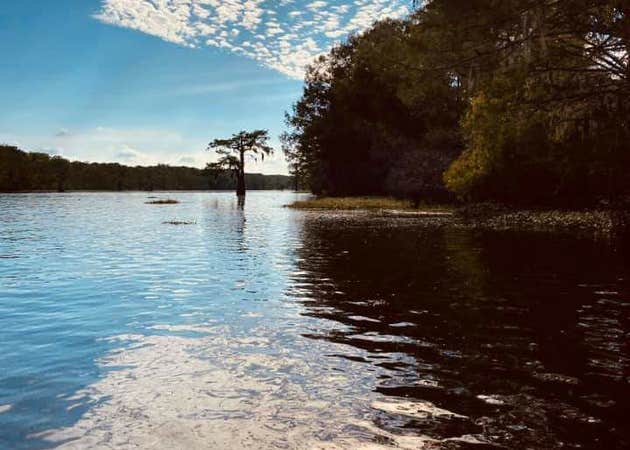 Spring Bayou Wildlife Management Area Campground Camping | The Dyrt