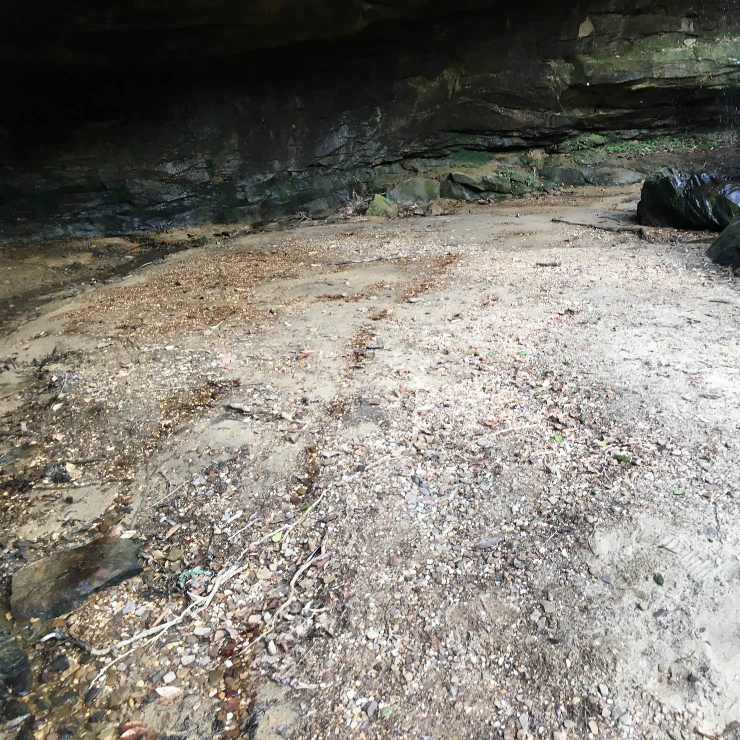 Sipsey Wilderness Backcountry Site (Trail 200 Site K) Camping ...